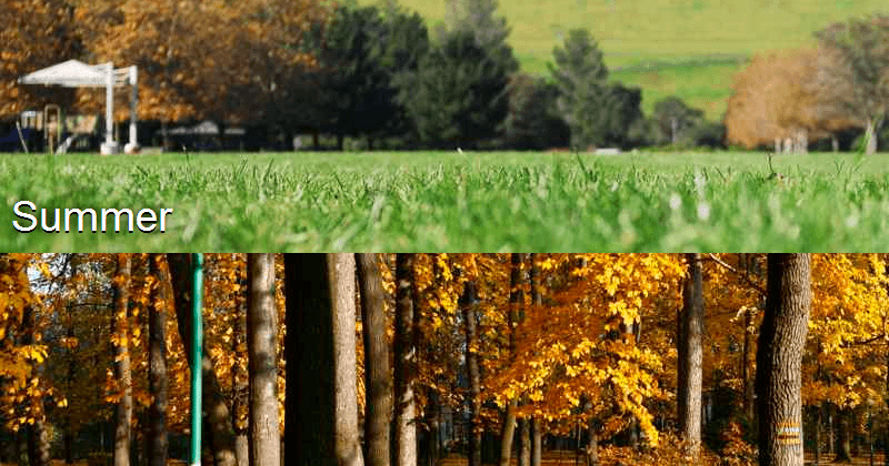 시간차효과를 쉽게 구현할수있는 jQuery플러그인 30가지 - RWDB