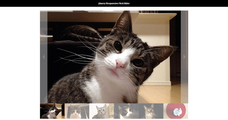 다양한 디바이스에 사용가능한 슬라이더 jQuery플러그인 모음 20가지 - RWDB