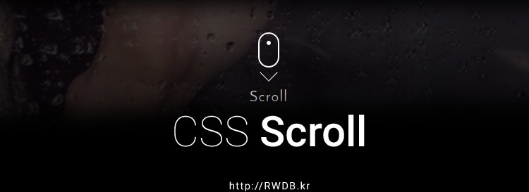 CSS 구현 스크롤 유도 표기 - RWDB