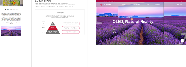 LG디스플레이 - RWDB