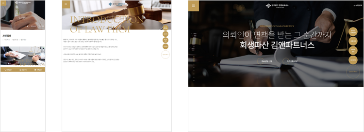 법무법인 김앤파트너스 - RWDB