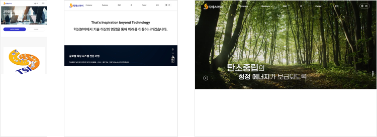 티에스아이 - RWDB